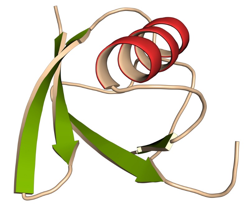 Research Review - Creative Diagnostics