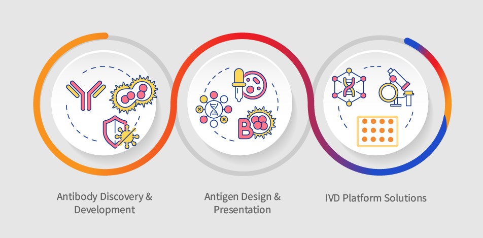 Technical Platform - Creative Diagnostics
