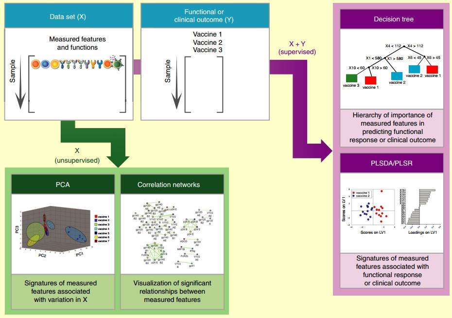 Serology Development - Creative Diagnostics