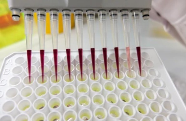 The MTT Assay: A Valuable Tool for Measuring Cell Viability - Creative ...