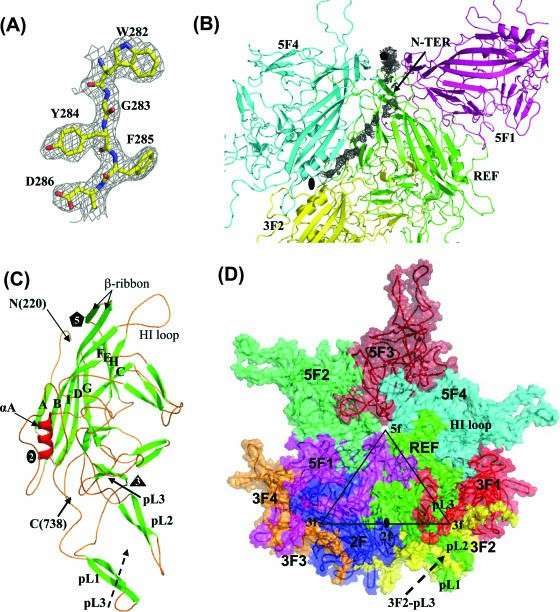 The Rise of AAV8 - Creative Diagnostics