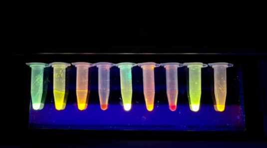 The Science of Fluorescence: Understanding Fluorophores - Creative ...