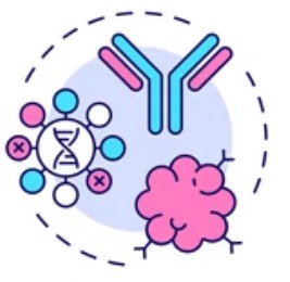 Therapeutic mAb Monitoring ELISA Kits - Creative Diagnostics