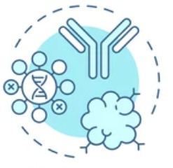 Therapeutic mAb Monitoring ELISA Kits - Creative Diagnostics