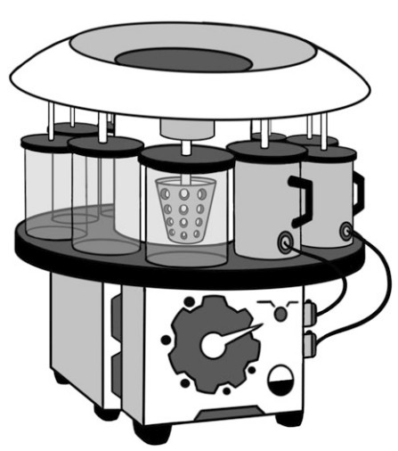 Tissue Processing Protocol Creative Diagnostics
