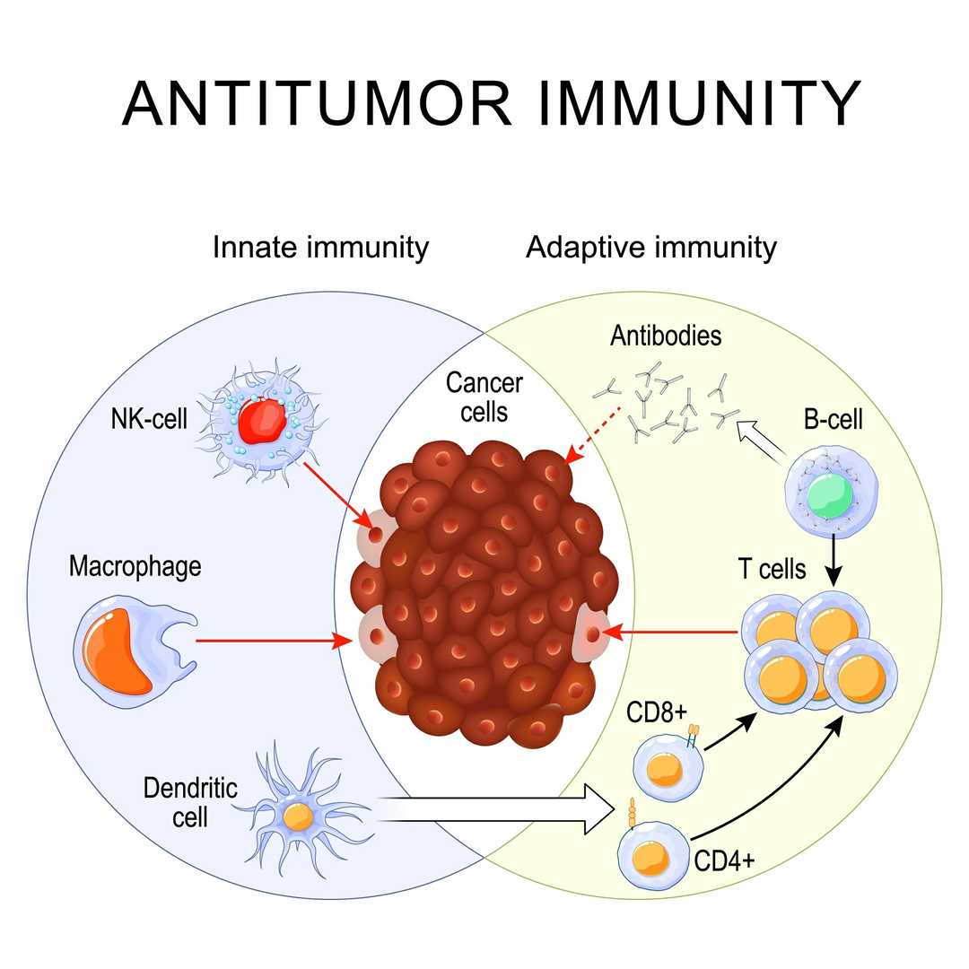 Tumor-Associated Antigen ELISA Kits for Oncology Research - Creative ...
