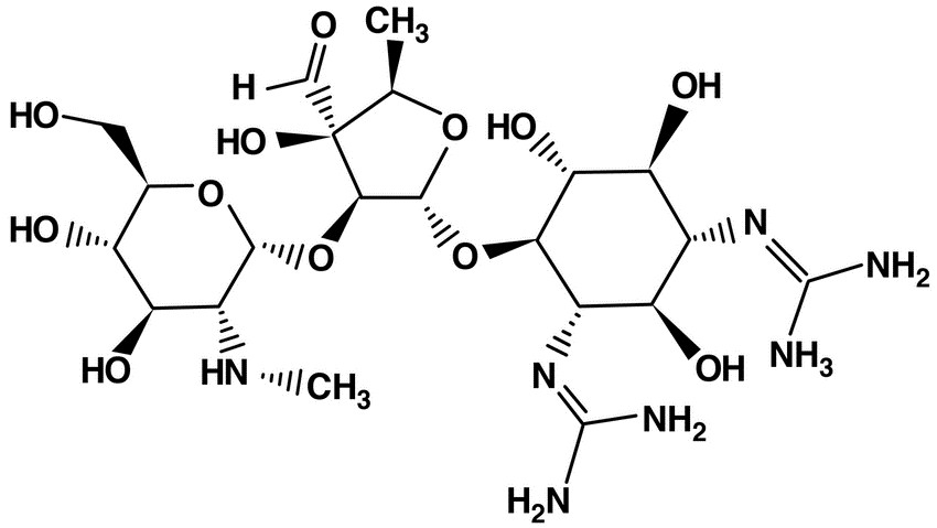 Uses of Streptomycin - Creative Diagnostics