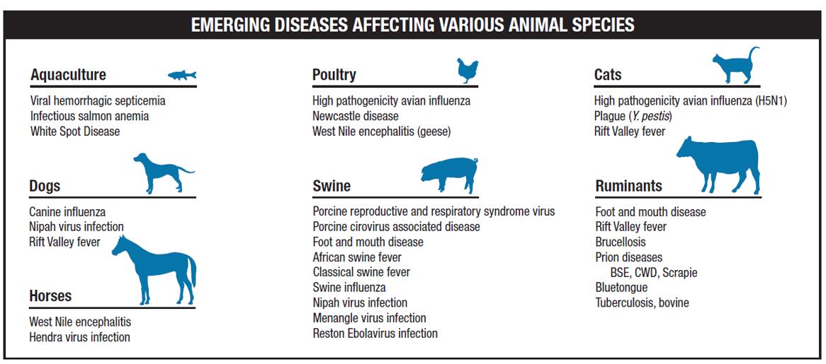 Veterinary Infectious Virus Antigens - Creative Diagnostics