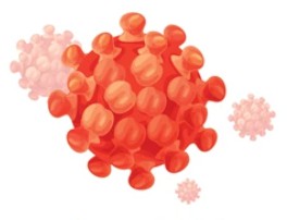 Viral Hepatitis Detection ELISA Kits – For Vaccine Development and ...