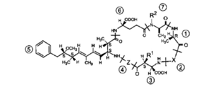 What are Microcystins? - Creative Diagnostics