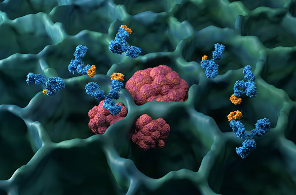 Monoclonal Antibodies - Creative Diagnostics