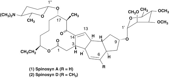 What is Spinosyn - Creative Diagnostics