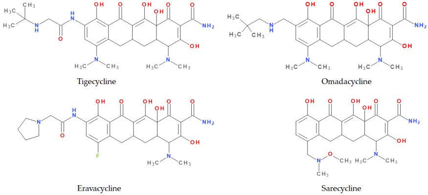 Introduction to Tetracycline - Creative Diagnostics