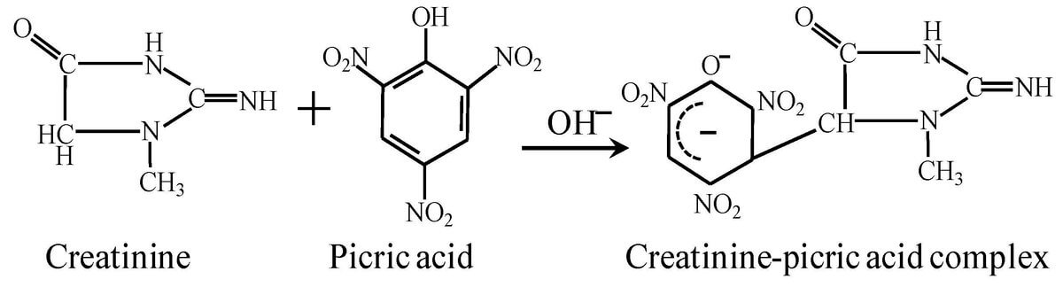 Which Creatinine Test Method is More Accurate for Kidney Function ...